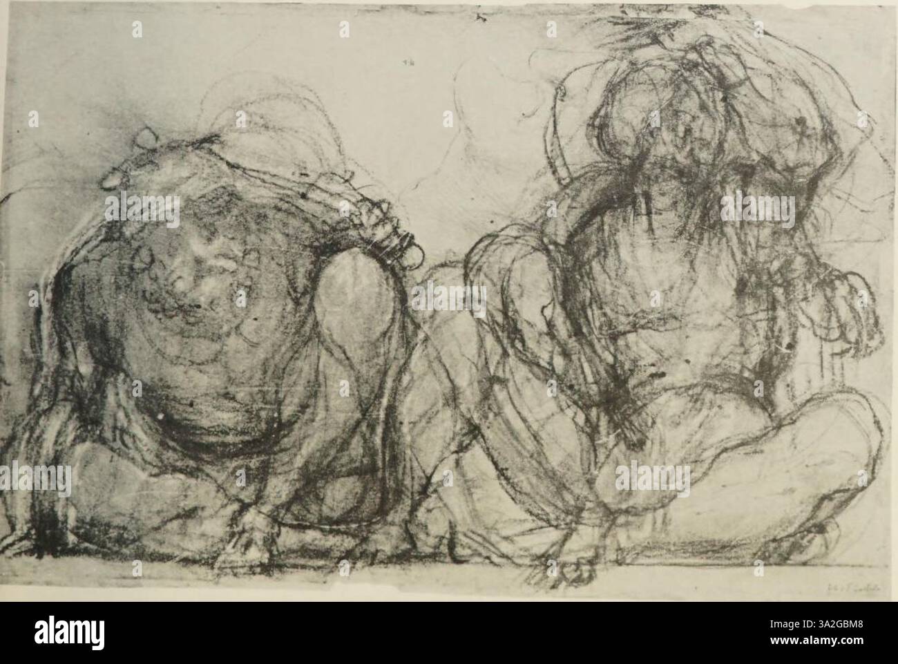 Elongated form displays hi-res stock photography and images - Alamy