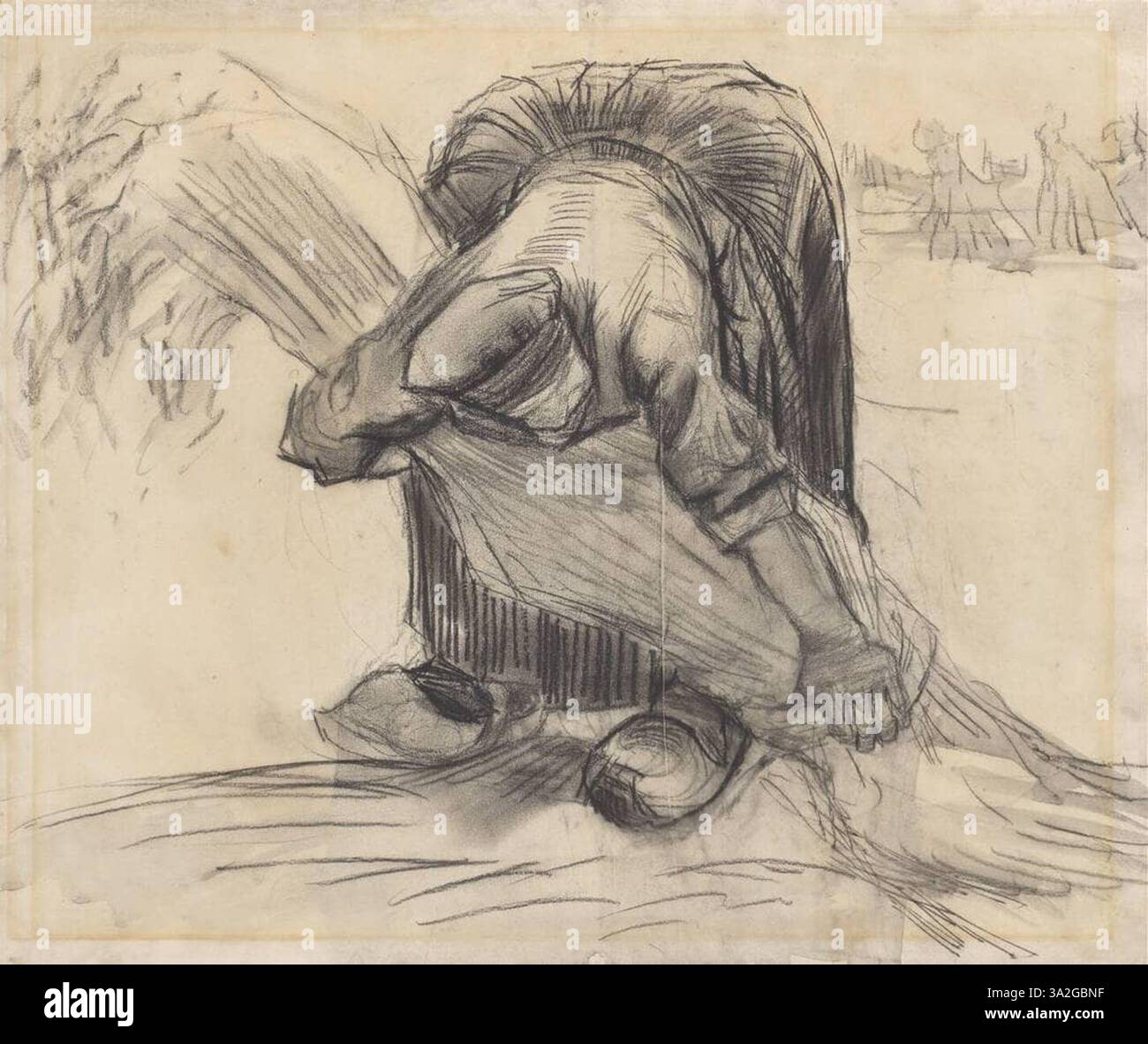This artwork by Vincent van Gogh portrays a female farmer tying bundles ...