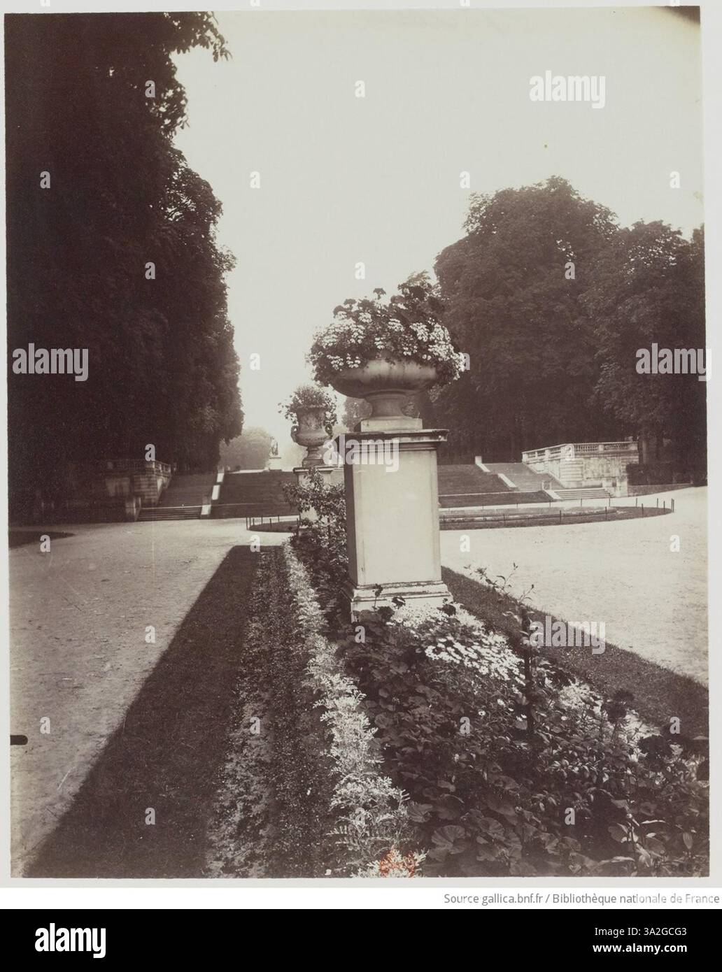 Eugène Atget’s photograph of St. Cloud park shows the expansive green ...
