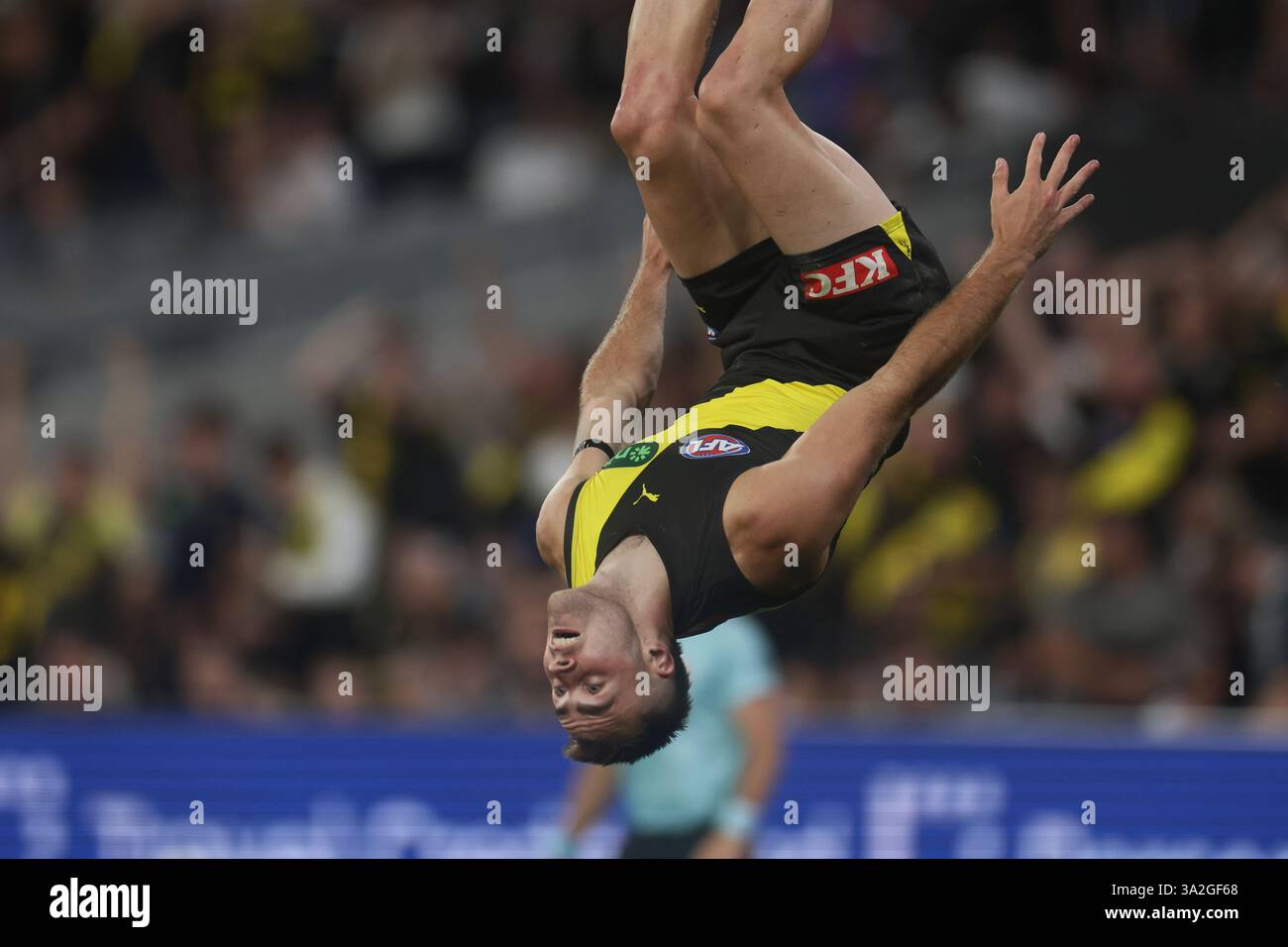 Seth Campbell of the Tigers celebrates kicking a goal during the AFL ...