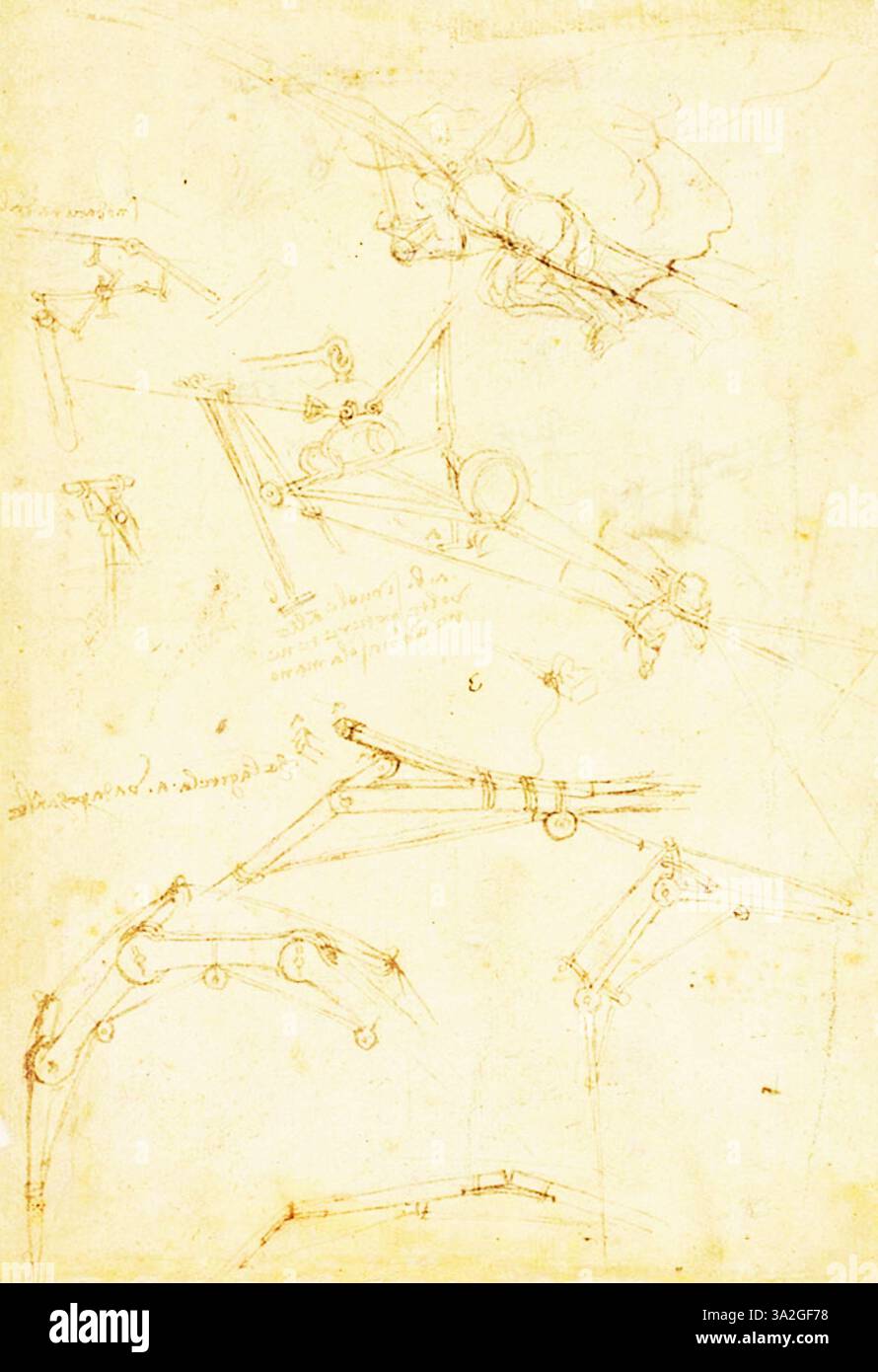 This flight study, created by Leonardo da Vinci in the Codex Atlanticus ...