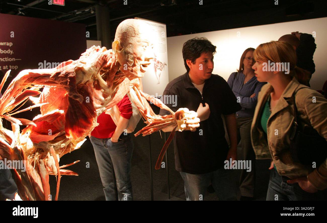 Nov 19, 2005; New York, NY, USA; Museum goers at 'Bodies...The ...