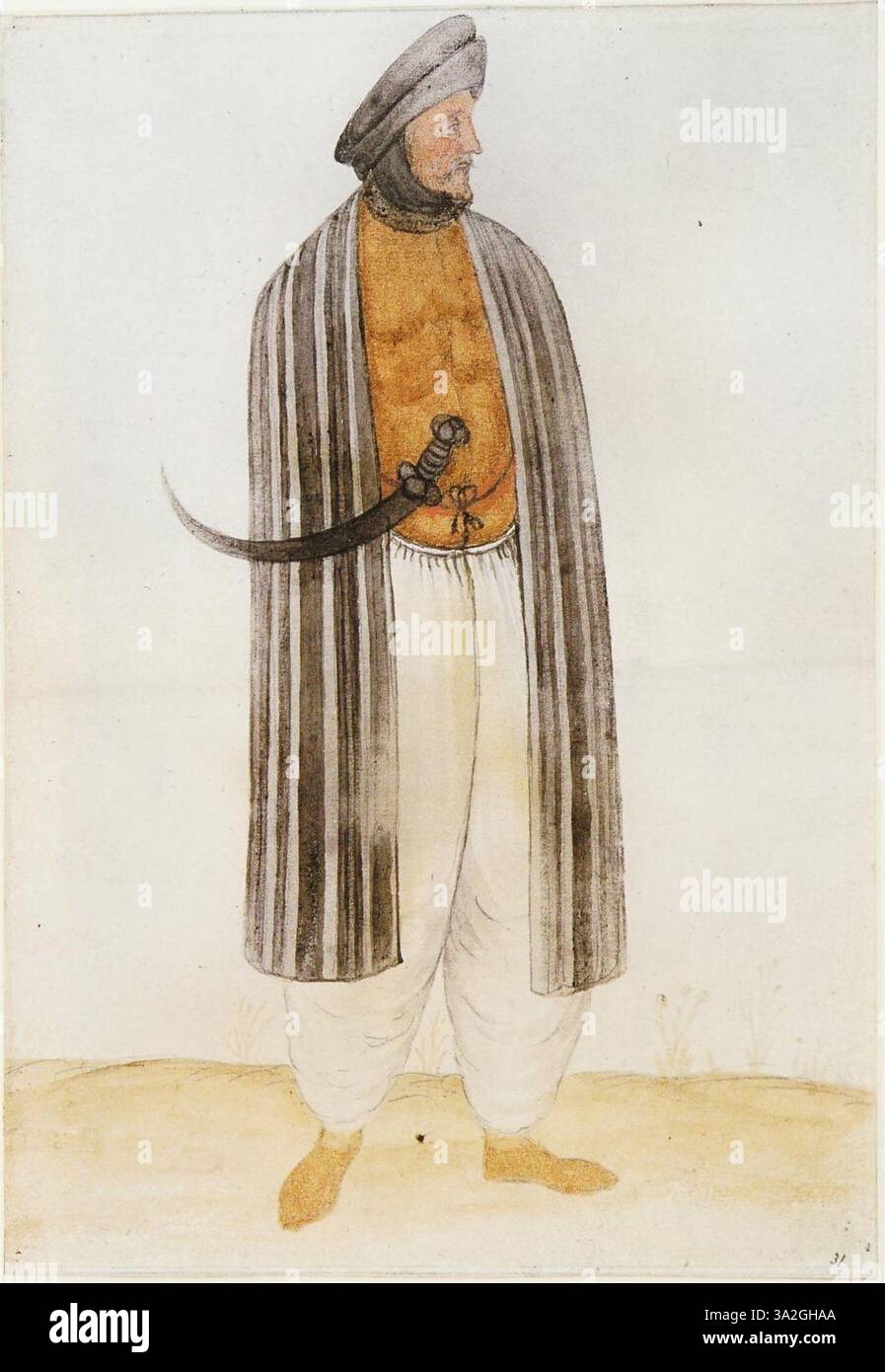 This 1540–1593 illustration by John White depicts native plants and ...