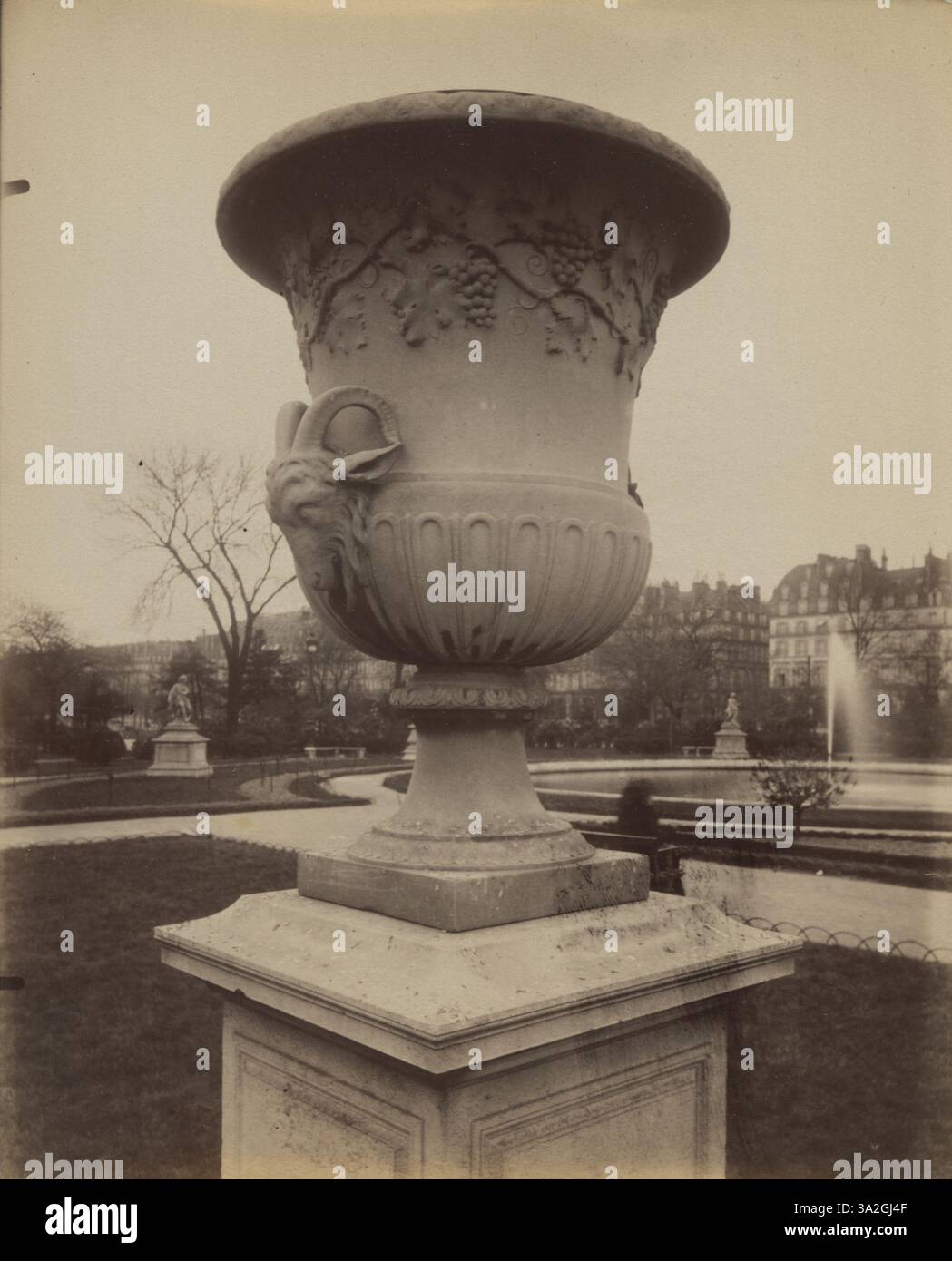 This 1911-12 photograph features a vase set against the backdrop of the ...