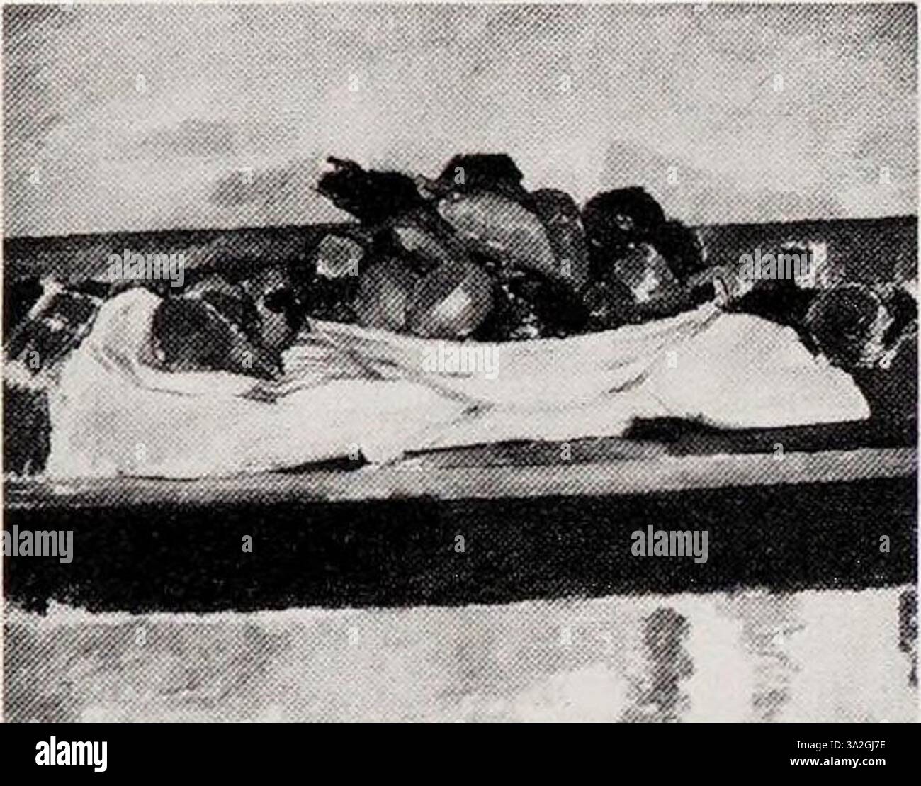 'Bruce - Agee and Rose, B45' presents an abstract arrangement of ...