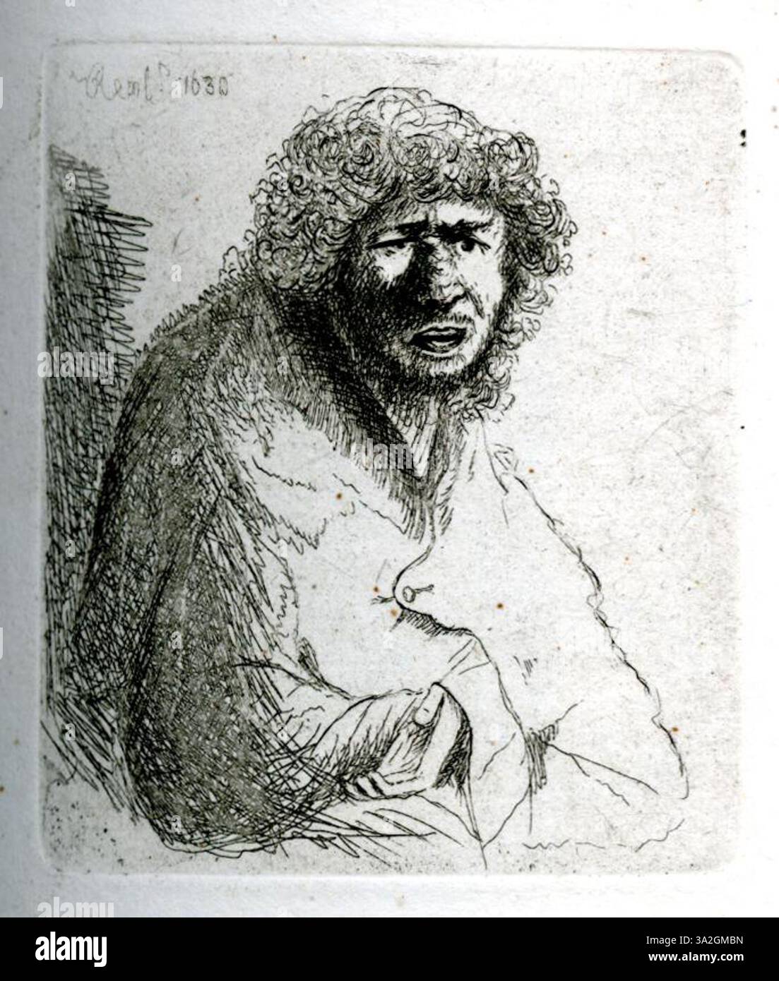 This Rembrandt work captures the subject’s expression with remarkable ...