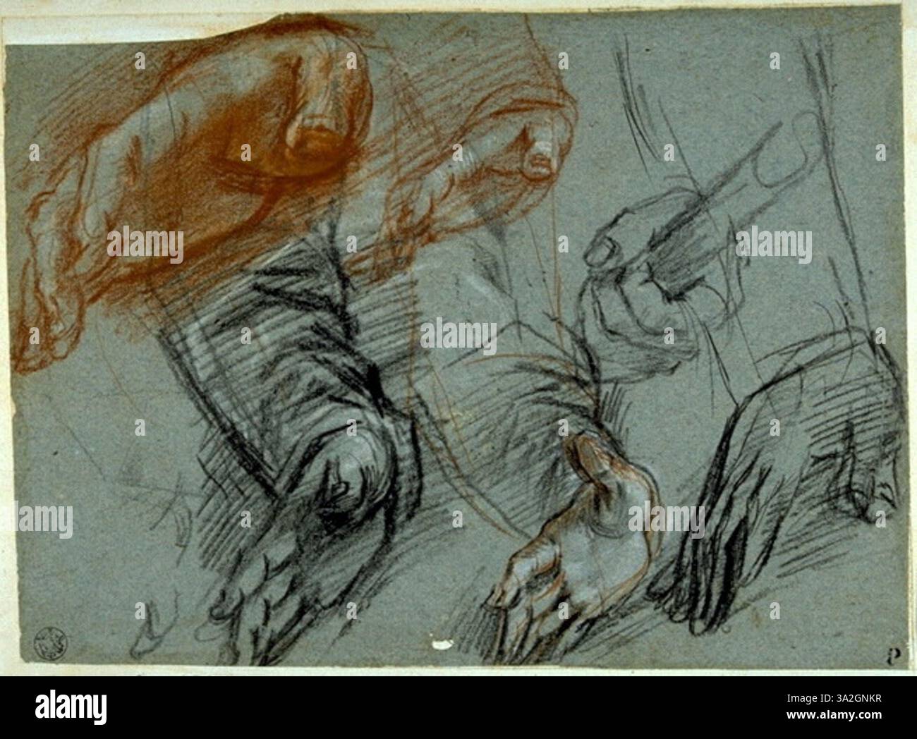 A series of detailed hand studies by Barocci, showcasing anatomical ...