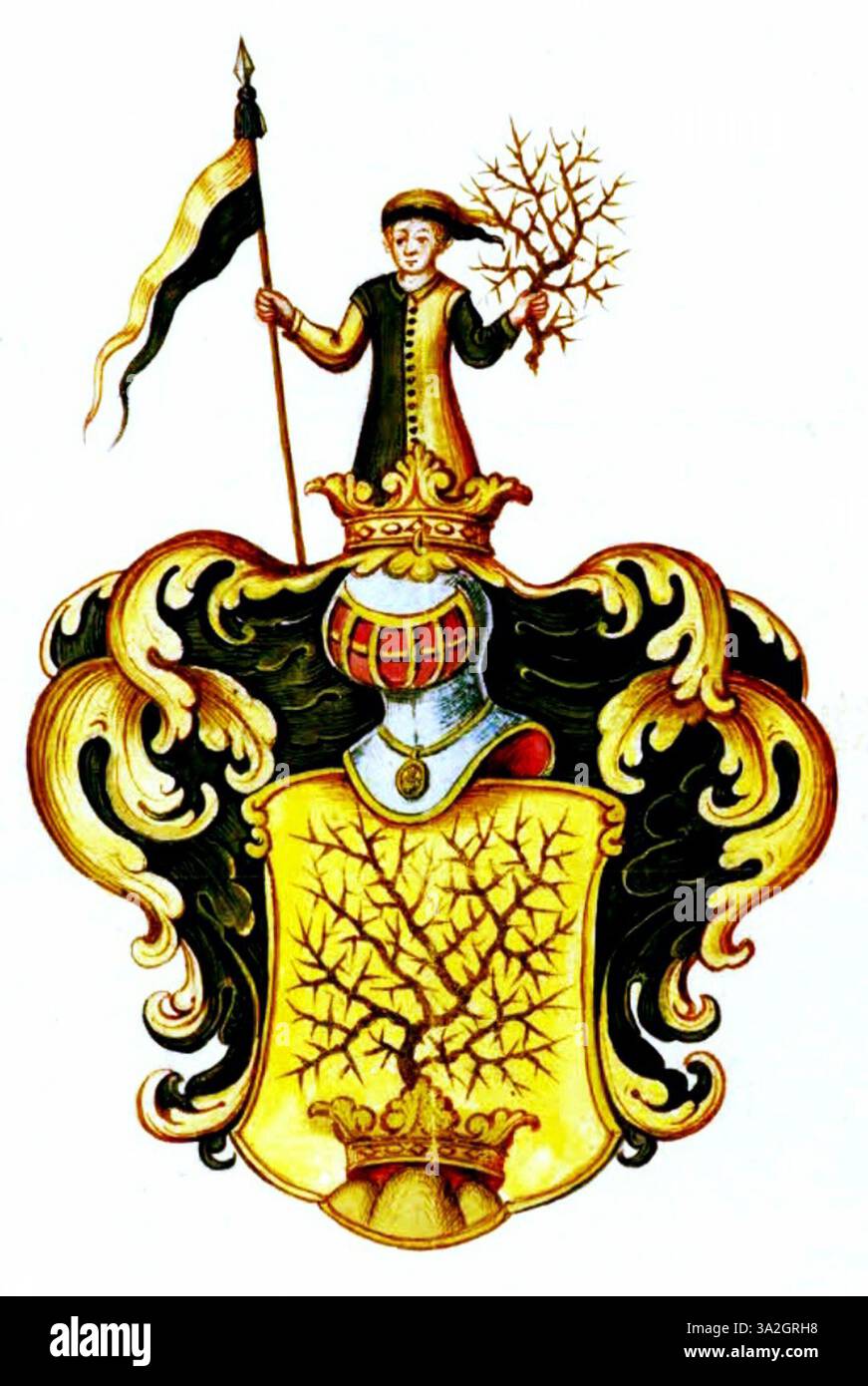 The coat of arms of the Dornsperg family, created in 1693, represents ...