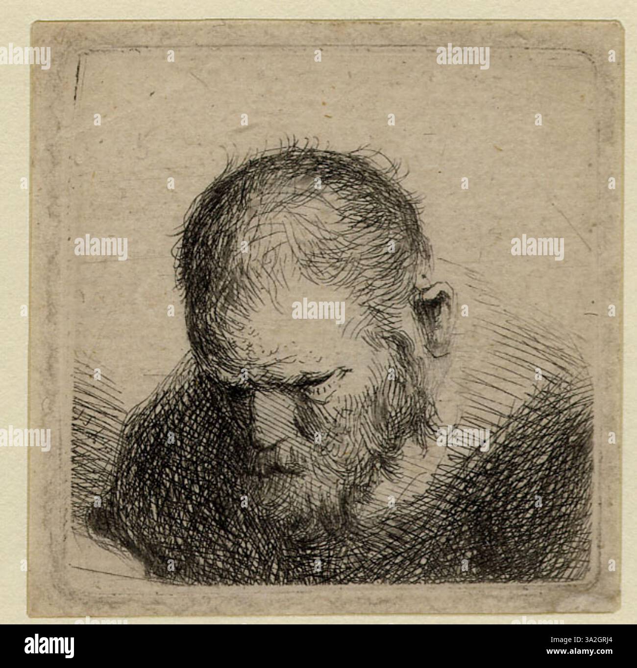 Rembrandt’s etching focuses on the subject’s psychological depth, using ...