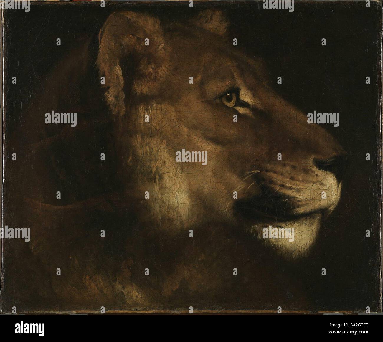 ‘Tête de lionne’ depicts the head of a lioness. Géricault’s rendering ...