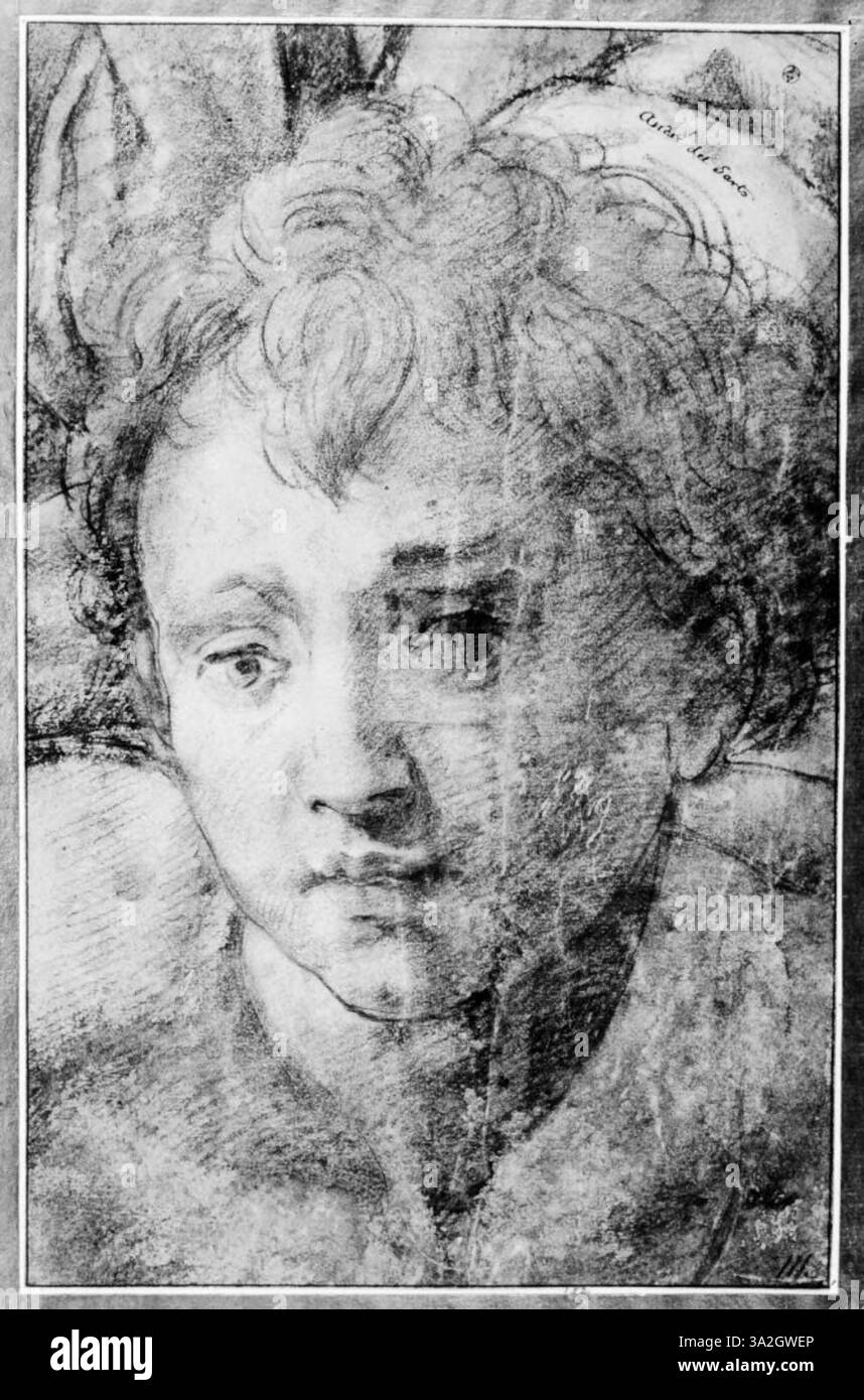 This cartoon for the head of Isaac by Andrea del Sarto demonstrates the ...