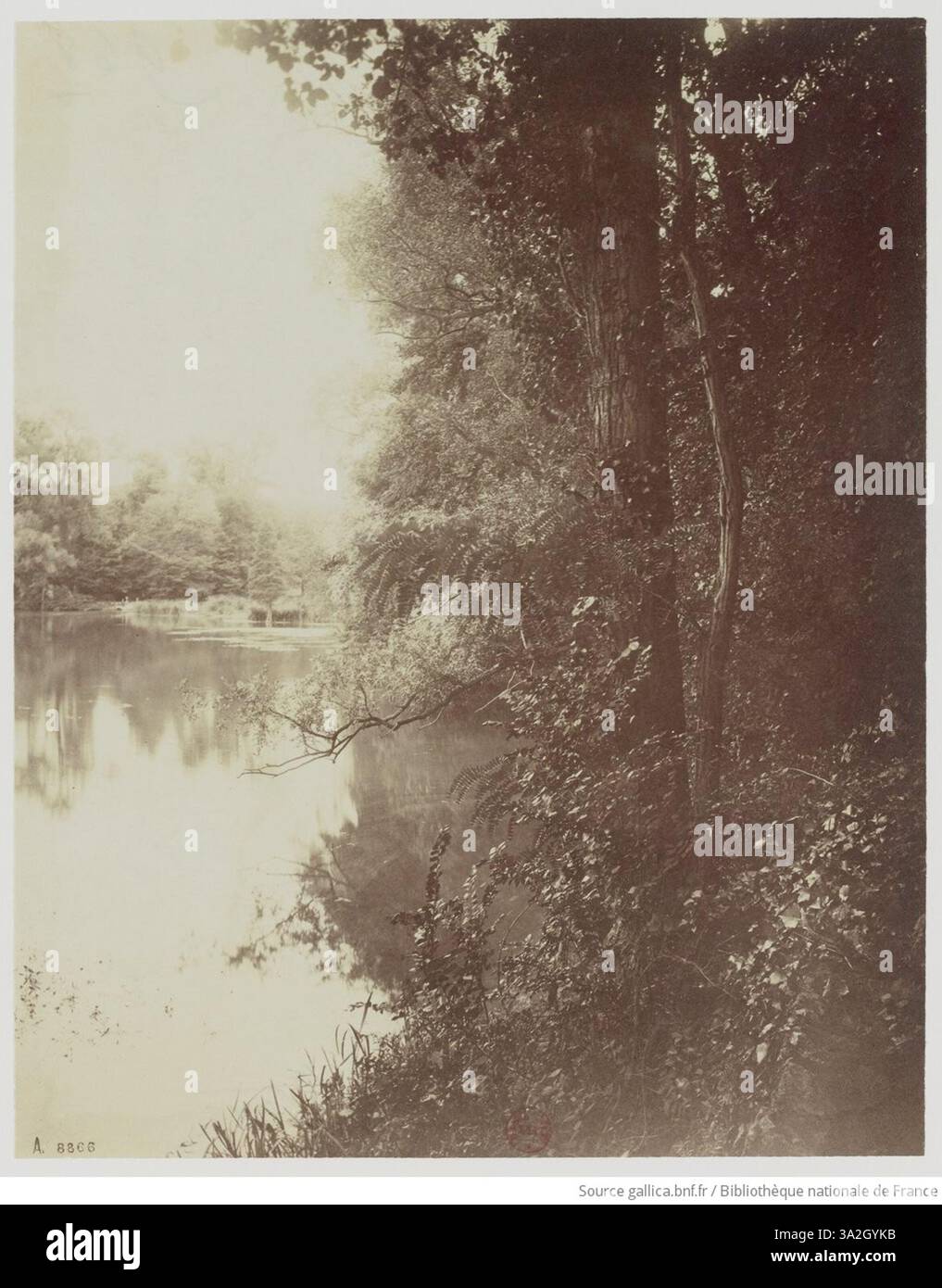 Eugène Atget captures a tranquil view of the Parc du Pessis Piquet ...