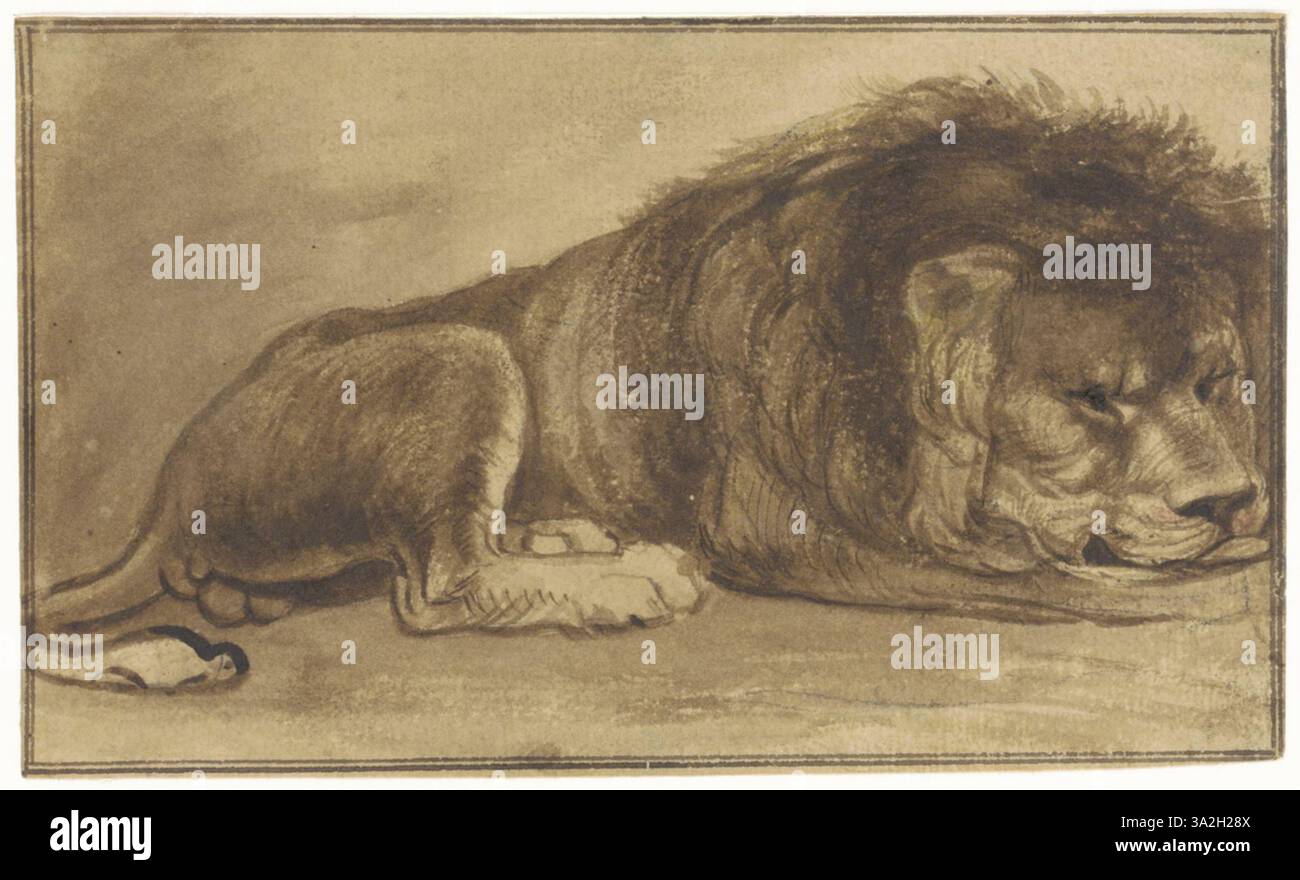 This etching by Rembrandt shows a lion lying to the right, rendered in ...