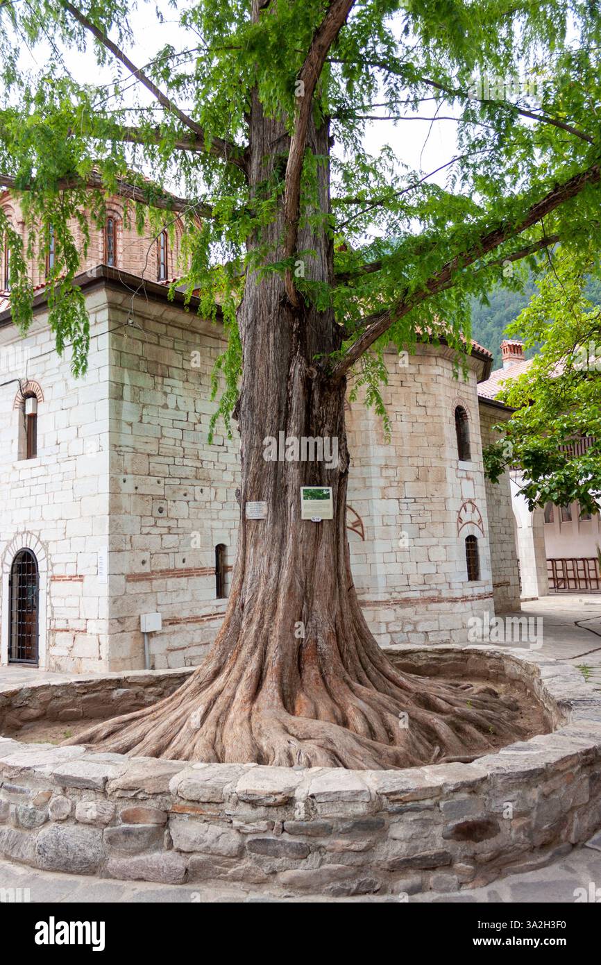 Spiritual retreat hi-res stock photography and images - Alamy