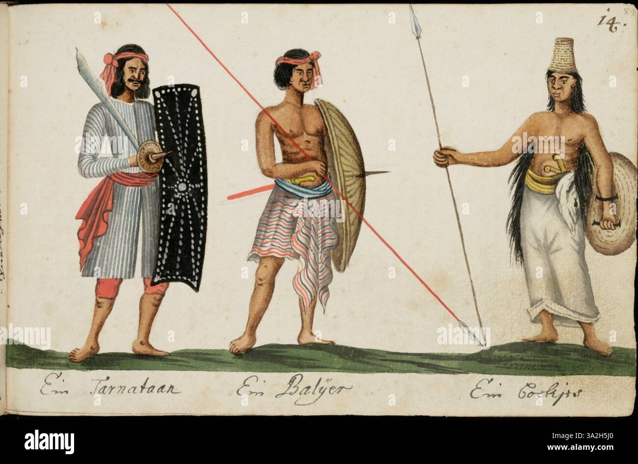 An illustration depicting a Ternatean, Balinese, and Bugis man, created ...