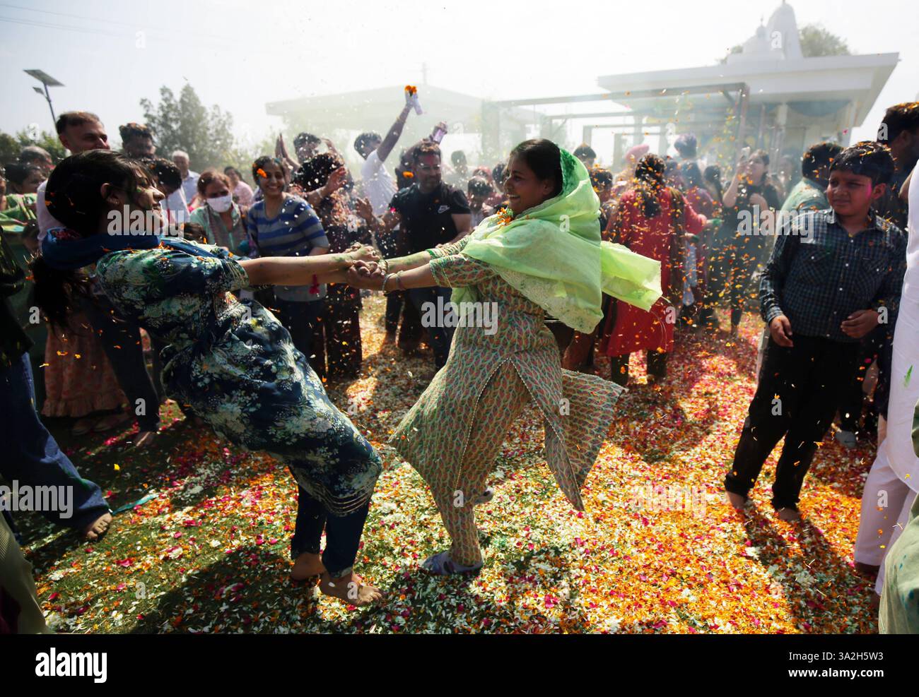 Holi festival celebrations in India Flower petals are showered as women ...