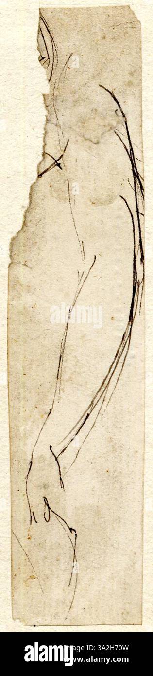 This study focuses on the detailed representation of an arm ...