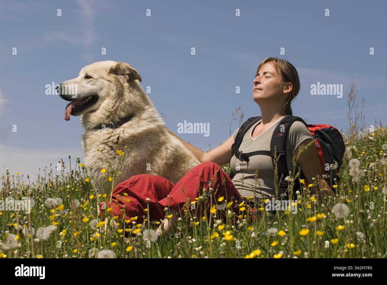 May 22, 2009 - Nationalpark Kalkalpen, OberÃ¶sterreich, Austria - MR ...