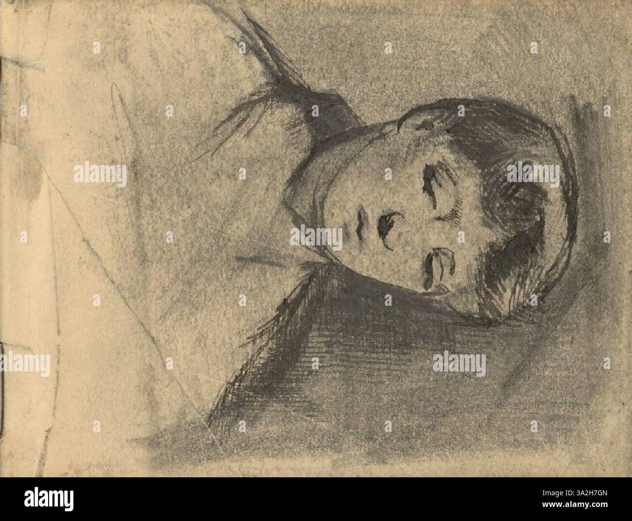 Van Gogh’s powerful use of color and texture illustrates the intense ...