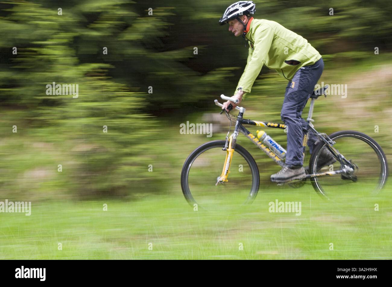 May 23, 2010 - Nationalpark Kalkalpen, OberÃ¶sterreich, Austria - MR ...