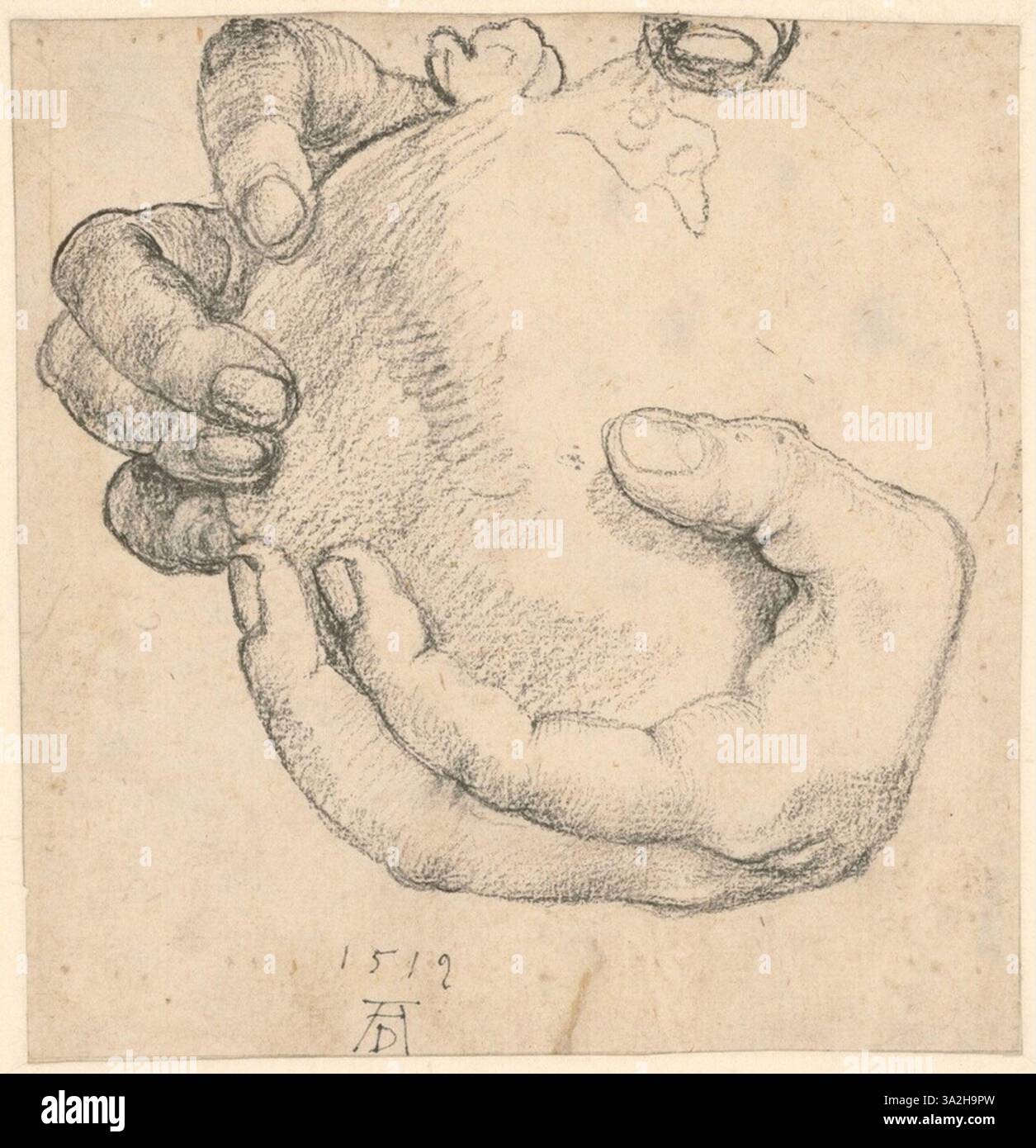 This study by Dürer showcases the hands of Emperor Maximilian I holding ...