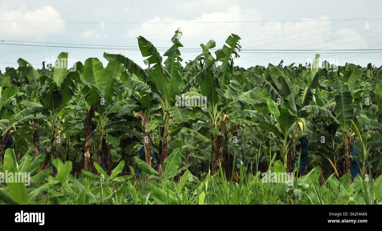 Varias poblaciones hi-res stock photography and images - Alamy