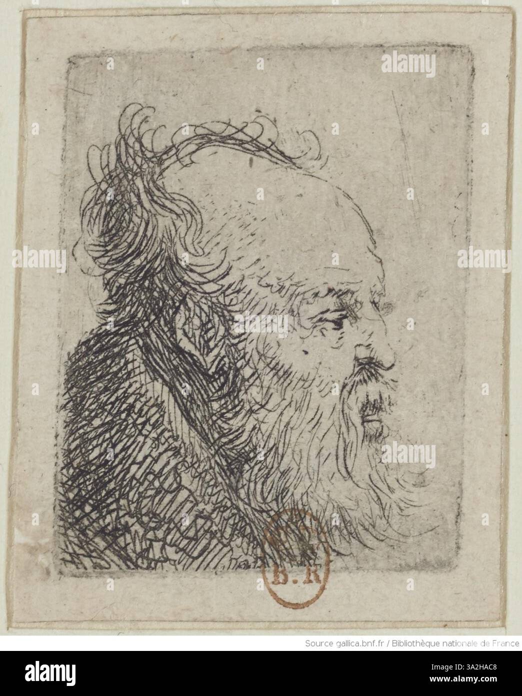 In this Rembrandt portrait, the interplay of light and dark enhances ...