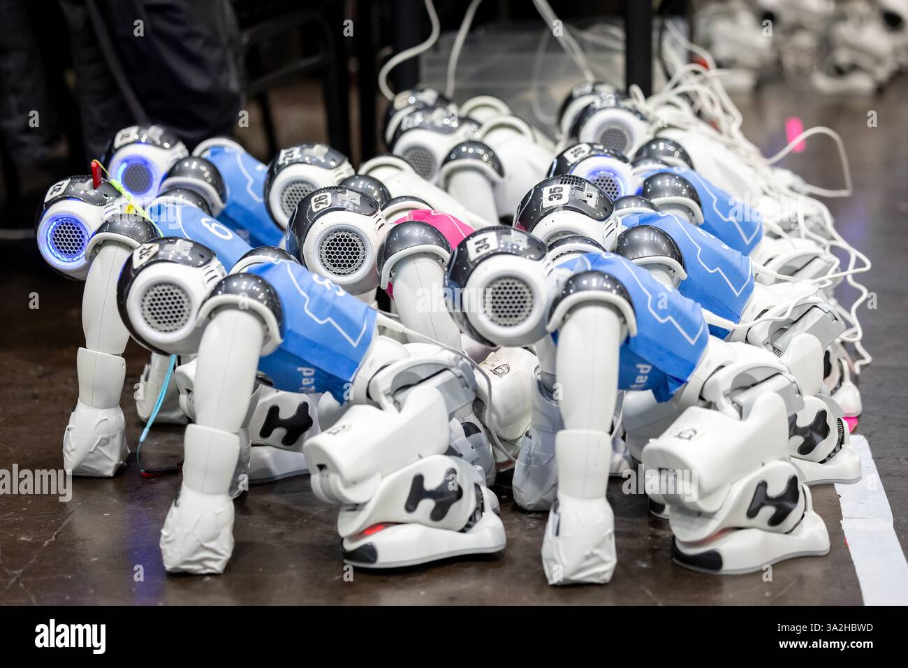 13 March 2025, Bavaria, Nuremberg: Autonomous intelligent robots are ...