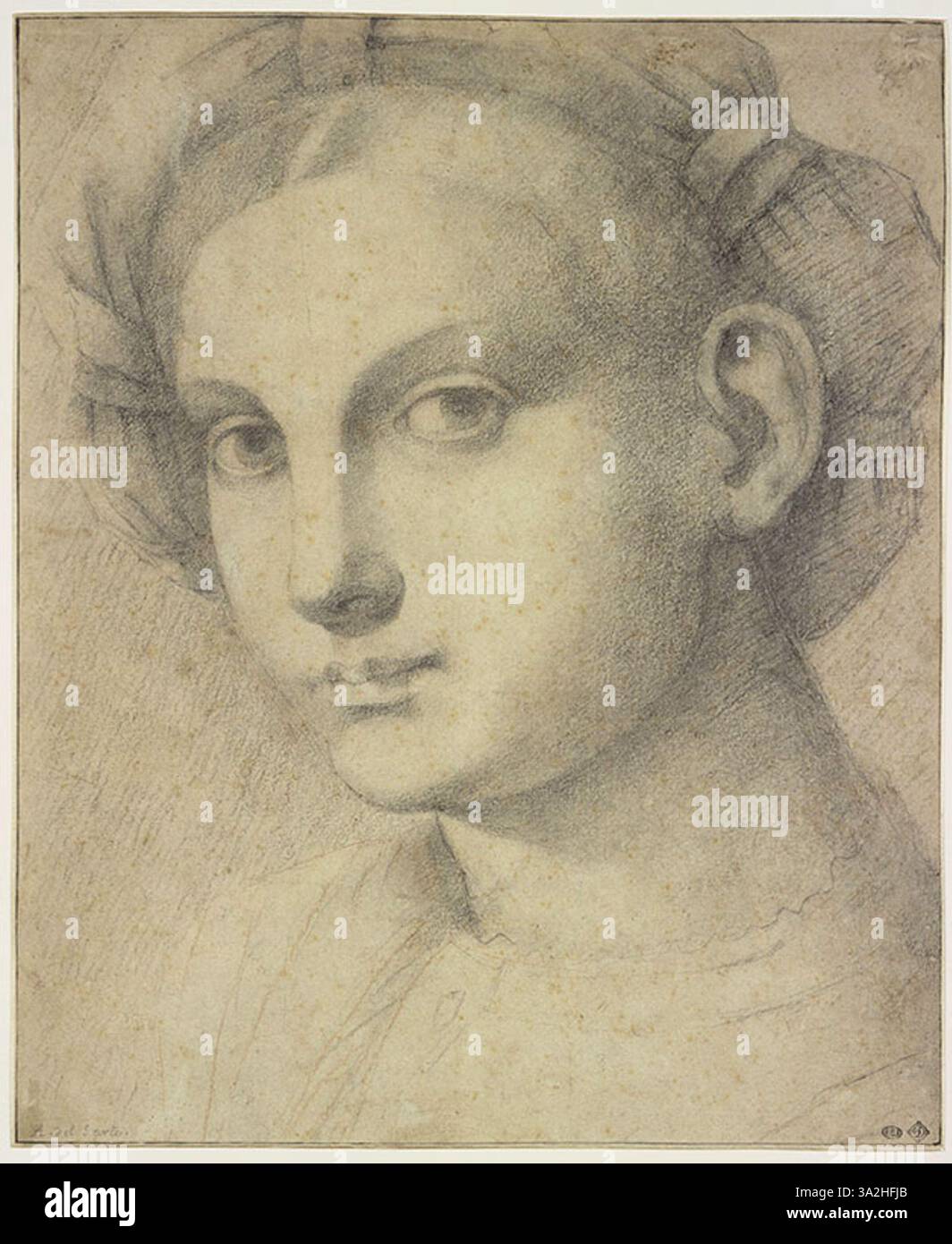 Well defined facial structure hi-res stock photography and images - Alamy