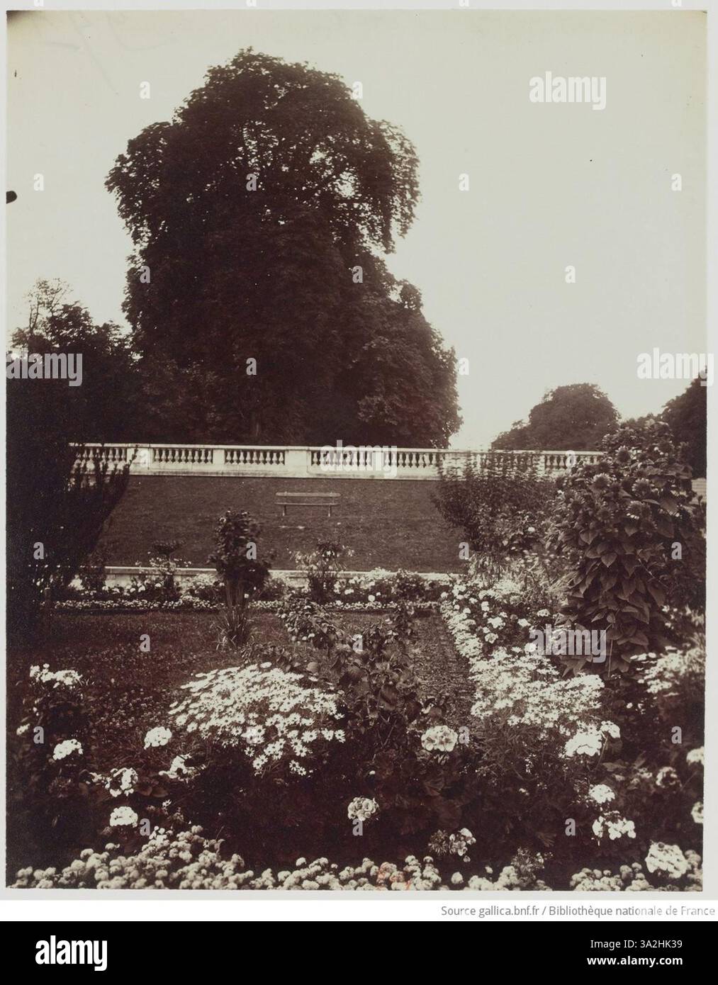 Atget’s image of St. Cloud park showcases the vast greenery, trees, and ...
