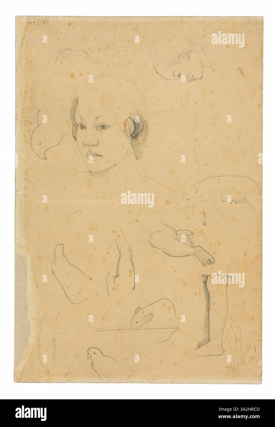 This piece includes sketches of animals, a head, a profile, and ...