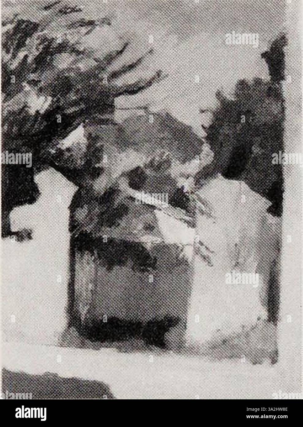 'Bruce - Agee and Rose, B36' presents an arrangement of geometric ...