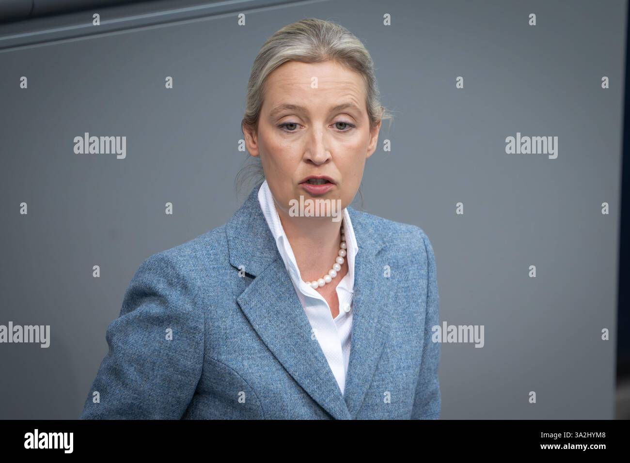 Deutscher Bundestag, 213. Plenarsitzung Dr. Alice Weidel AfD im ...