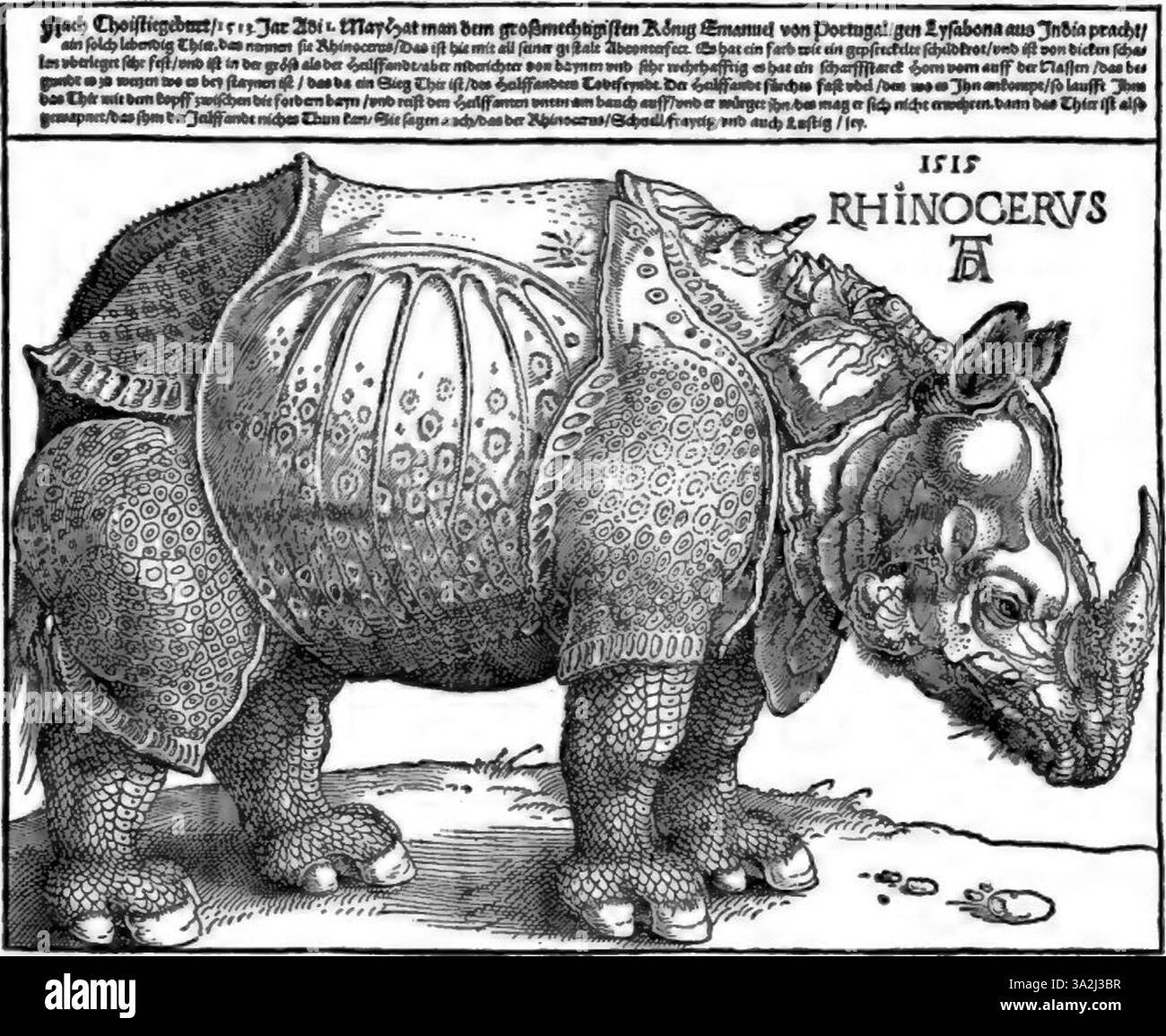 Albrecht Dürer’s woodcut print, ‘The Rhinoceros’ (1515), features ...