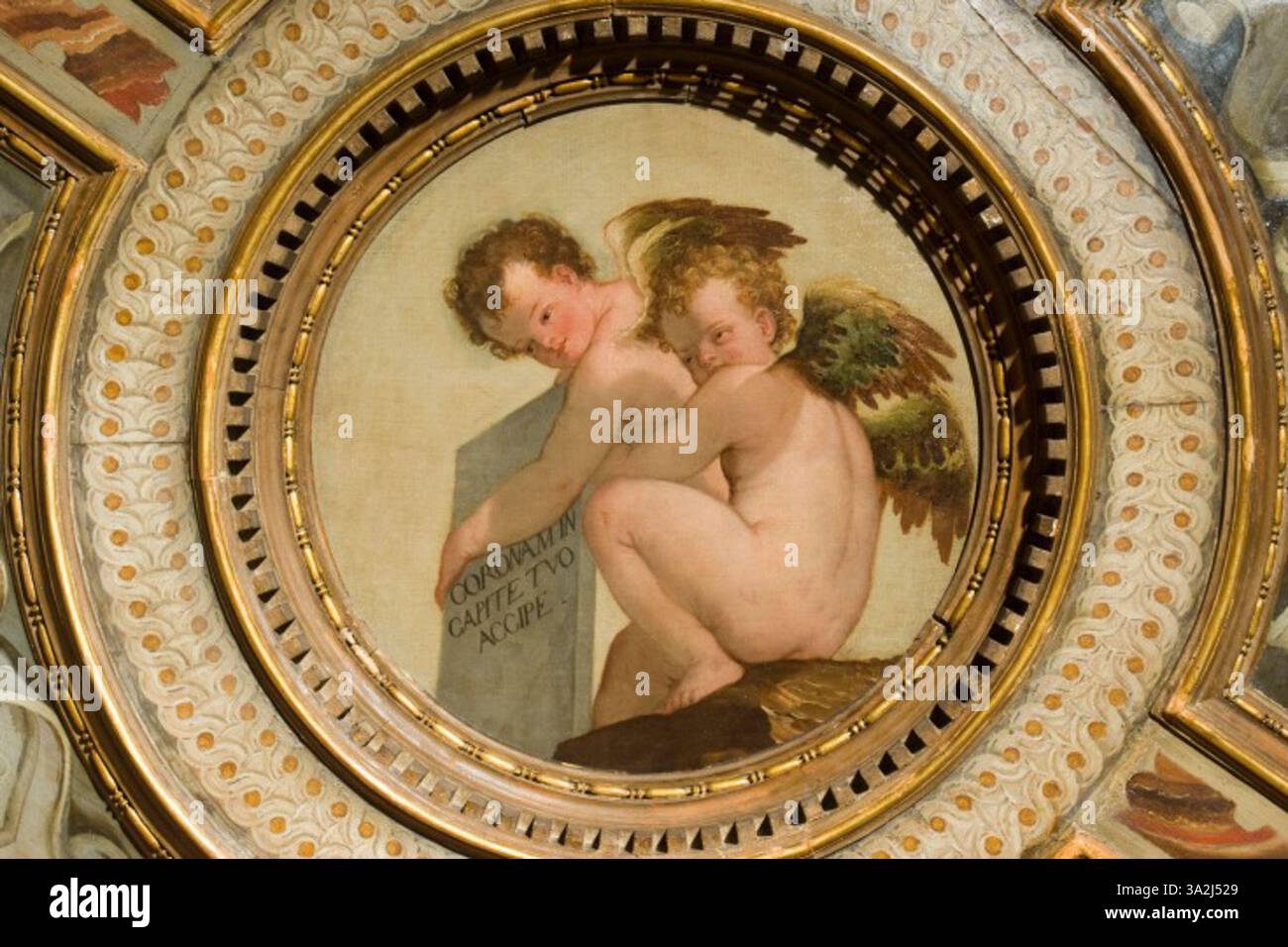 Putti alati con lapide iscritta by Paolo Veronese features winged putti ...