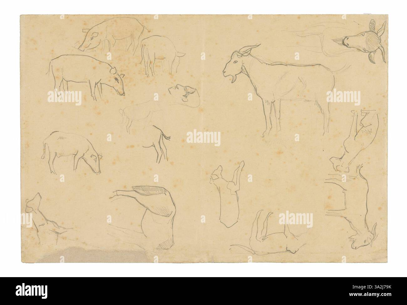 This sketch by Paul Gauguin combines various animals with a human head ...