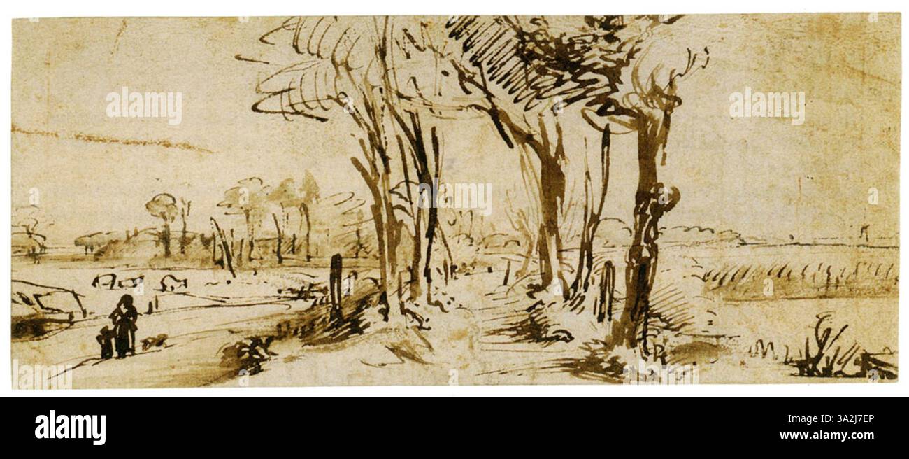 A portrait showing a man with a contemplative look, captured in ...