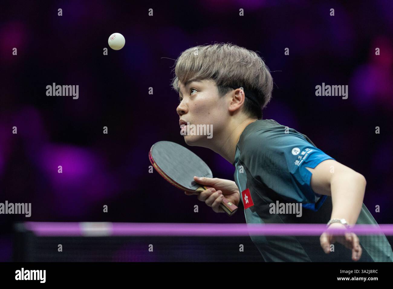 Chongqing, China. 13th Mar, 2025. Doo Hoi Kem of China's Hong Kong ...