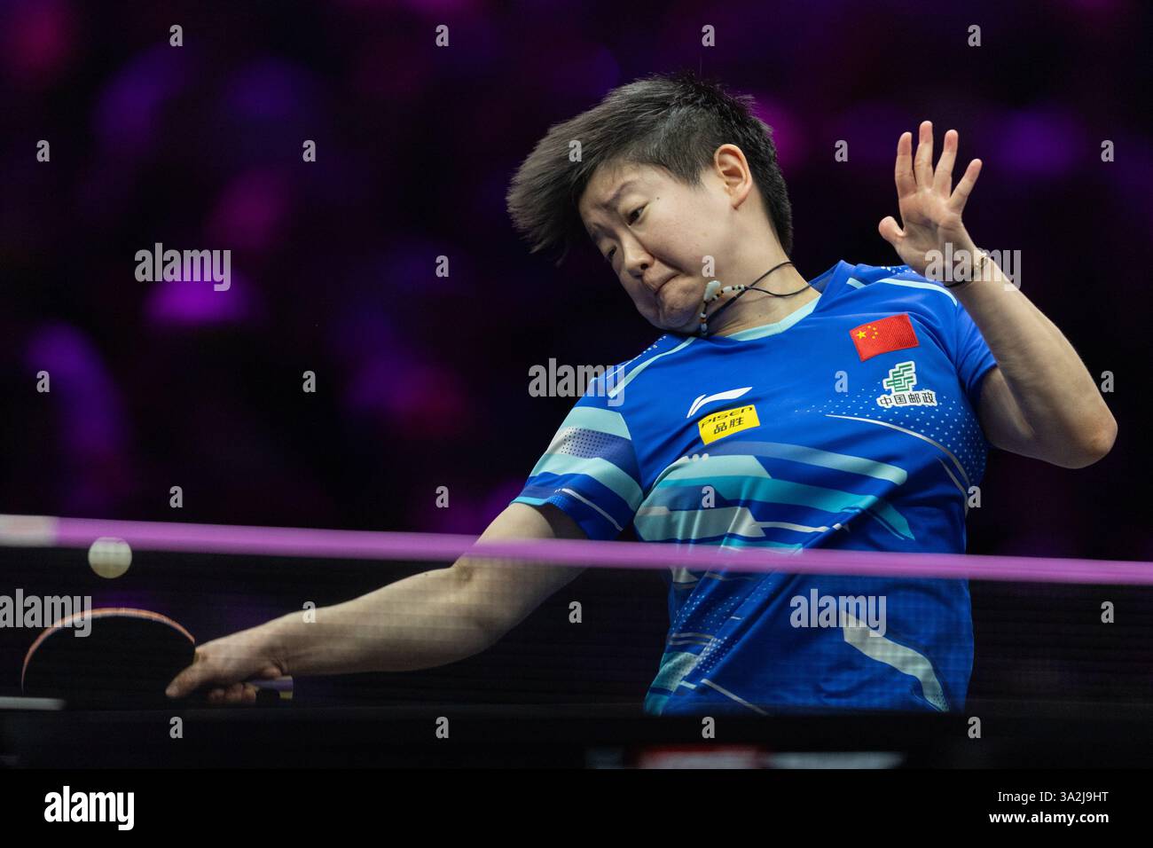 (250313) -- CHONGQING, March 13, 2025 (Xinhua) -- Sun Yingsha of China ...