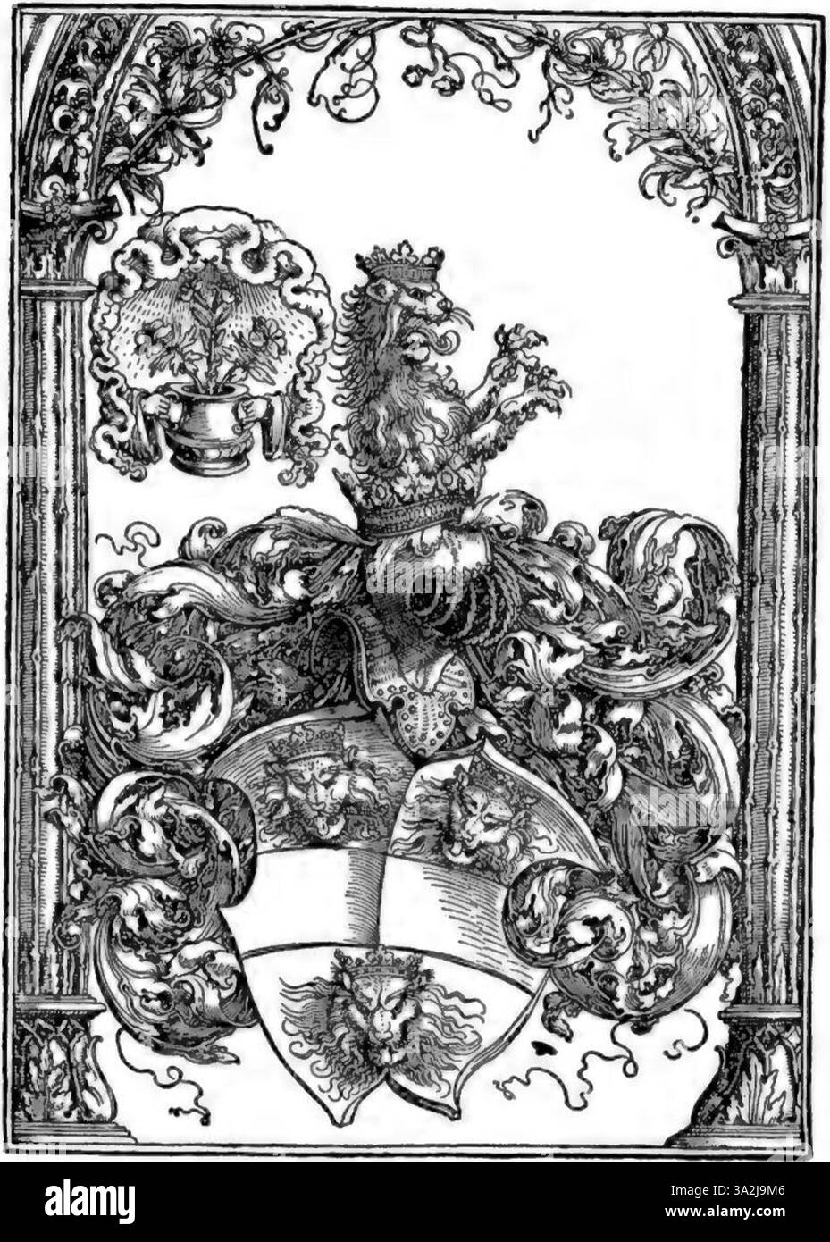 Albrecht Dürer’s drawing demonstrates his mastery in capturing detailed ...