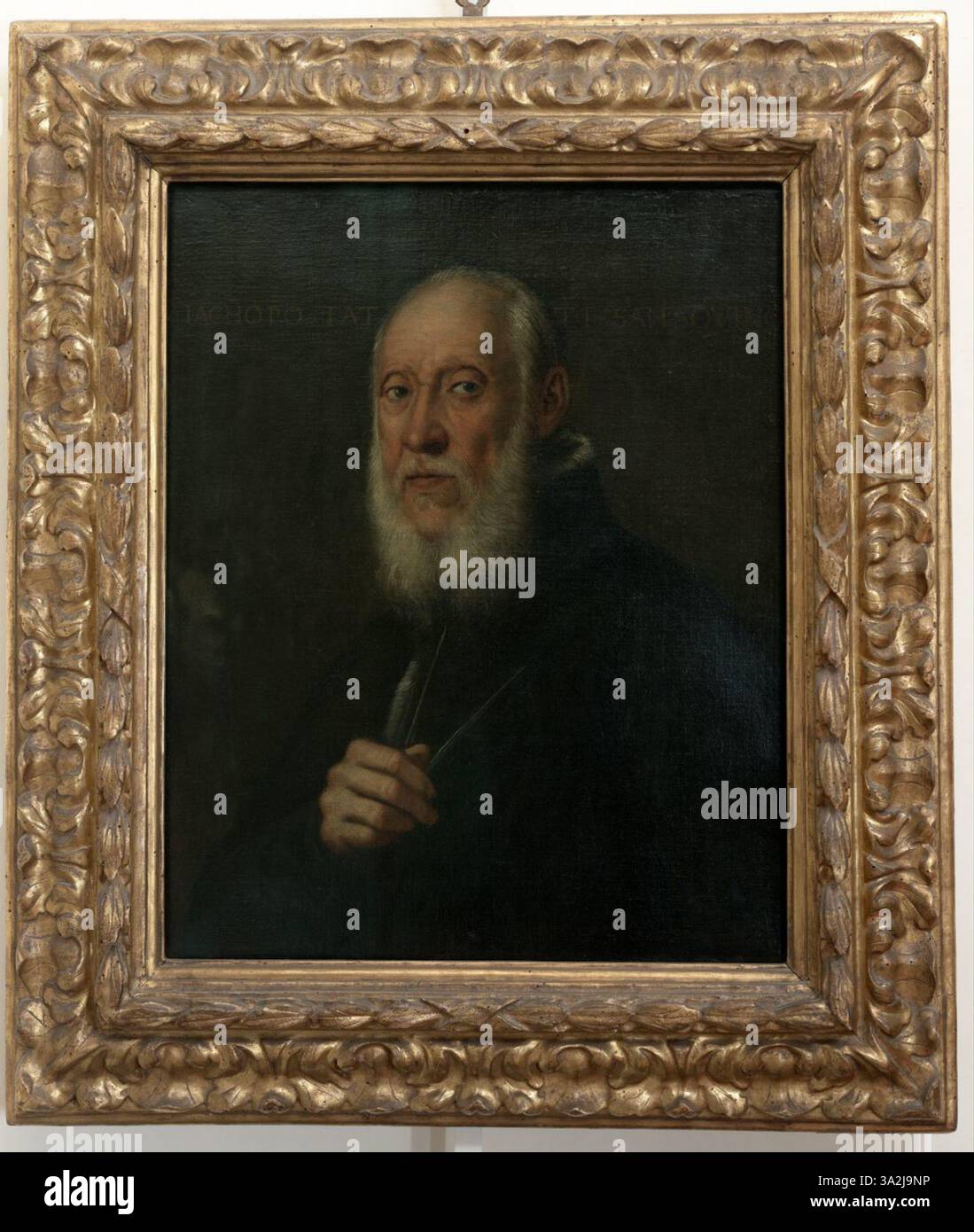 This portrait of architect Jacopo Sansovino highlights his ...
