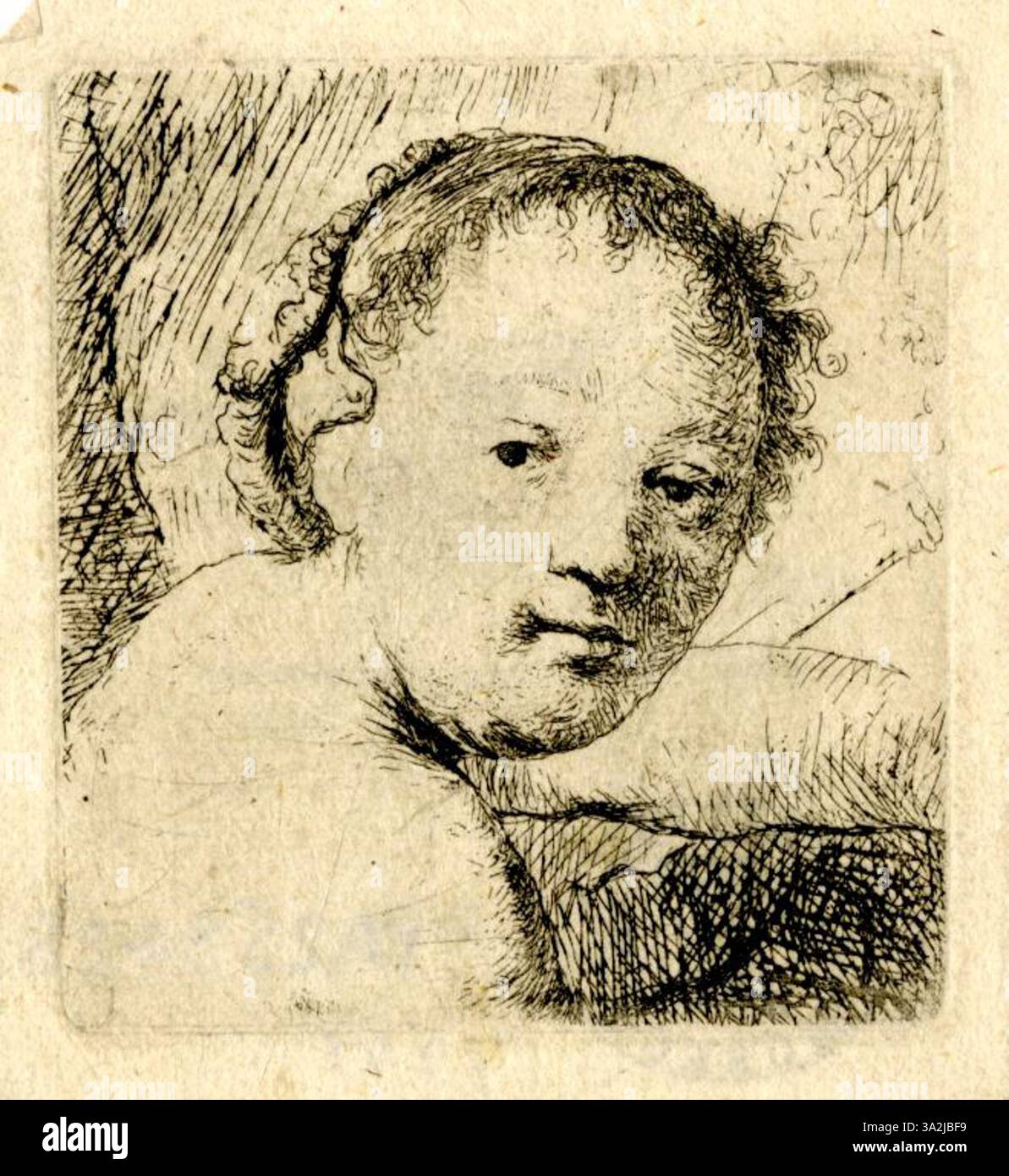 This etching by Rembrandt portrays Jan Lievens with intricate details ...