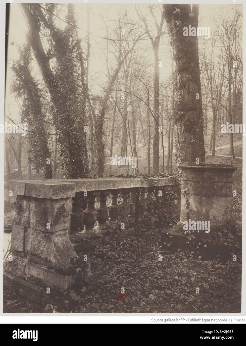 Eugène Atget’s photograph of St. Cloud highlights the early 20th ...
