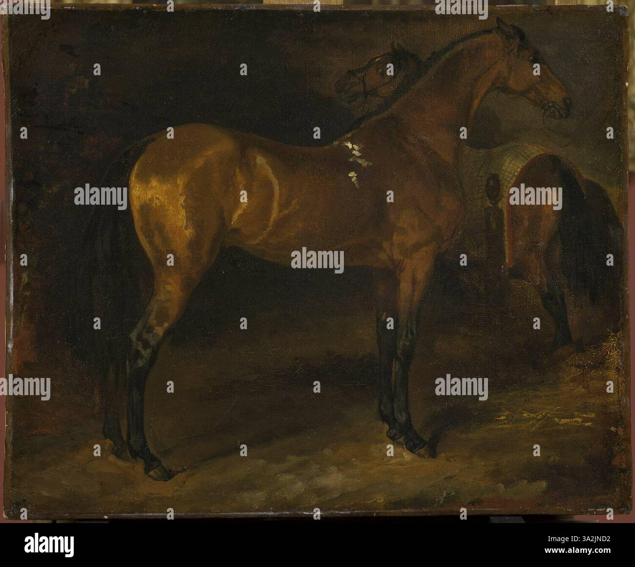 ‘Cheval espagnol dans une écurie’ depicts a Spanish horse in a stable ...