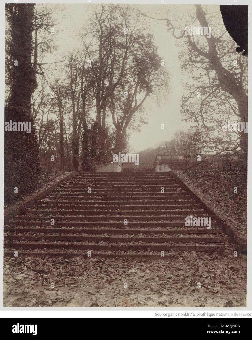 This photograph by Eugène Atget showcases the wide green lawns, tree ...