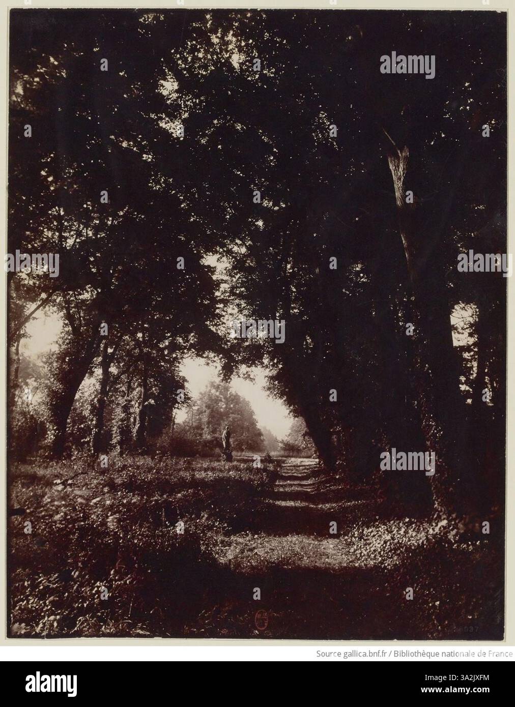 This photograph by Eugène Atget showcases the central pathway of Parc ...
