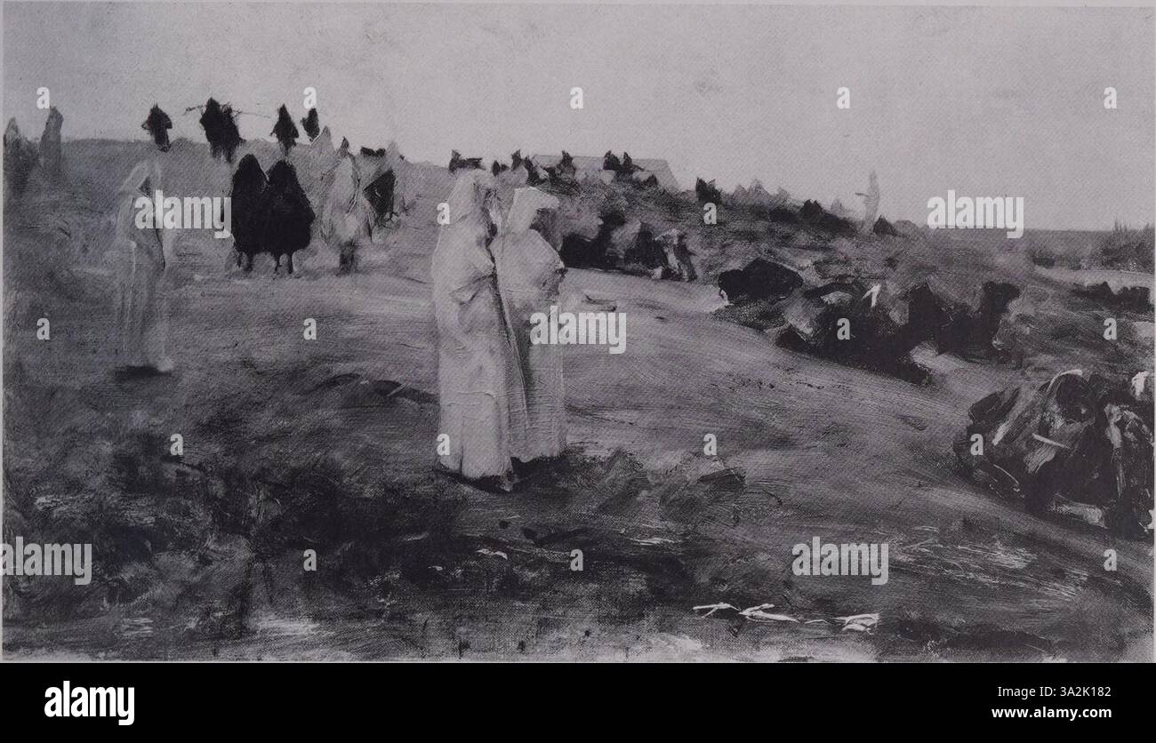 In portrait 0787, John Singer Sargent’s meticulous attention to light ...