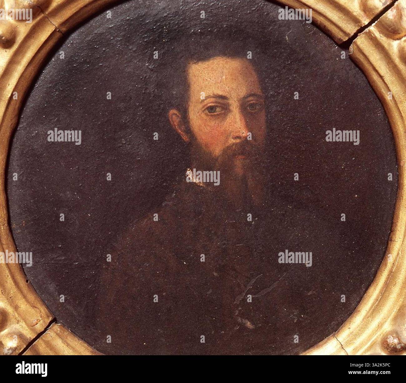 In this portrait, Piero Strozzi is depicted with grace and poise ...