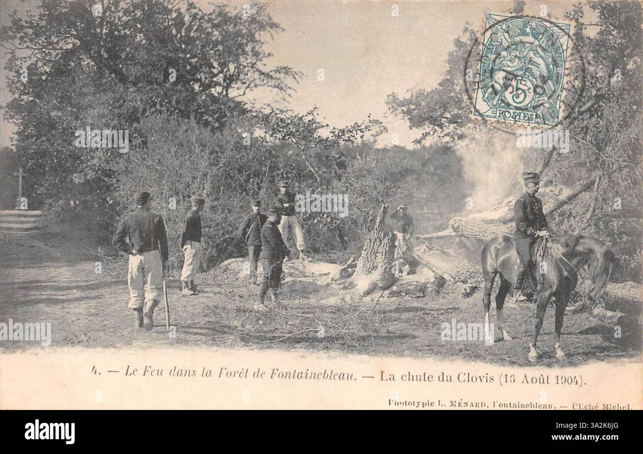 This postcard depicts the Clovis Oak tree, destroyed in a fire in the ...