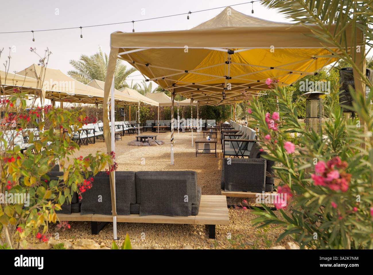 Saudi arabian gathering in hi-res stock photography and images - Alamy